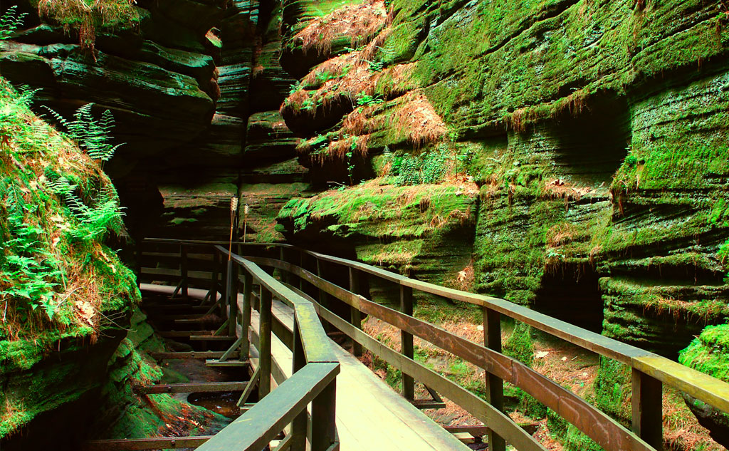 Top 10 Family Activities in Wisconsin Dells - Amora V Lifestyle