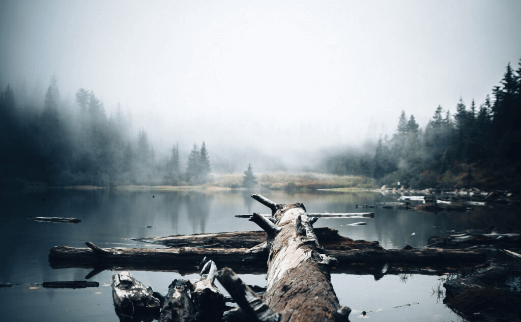 Best Places to Visit in Oregon - Amora V